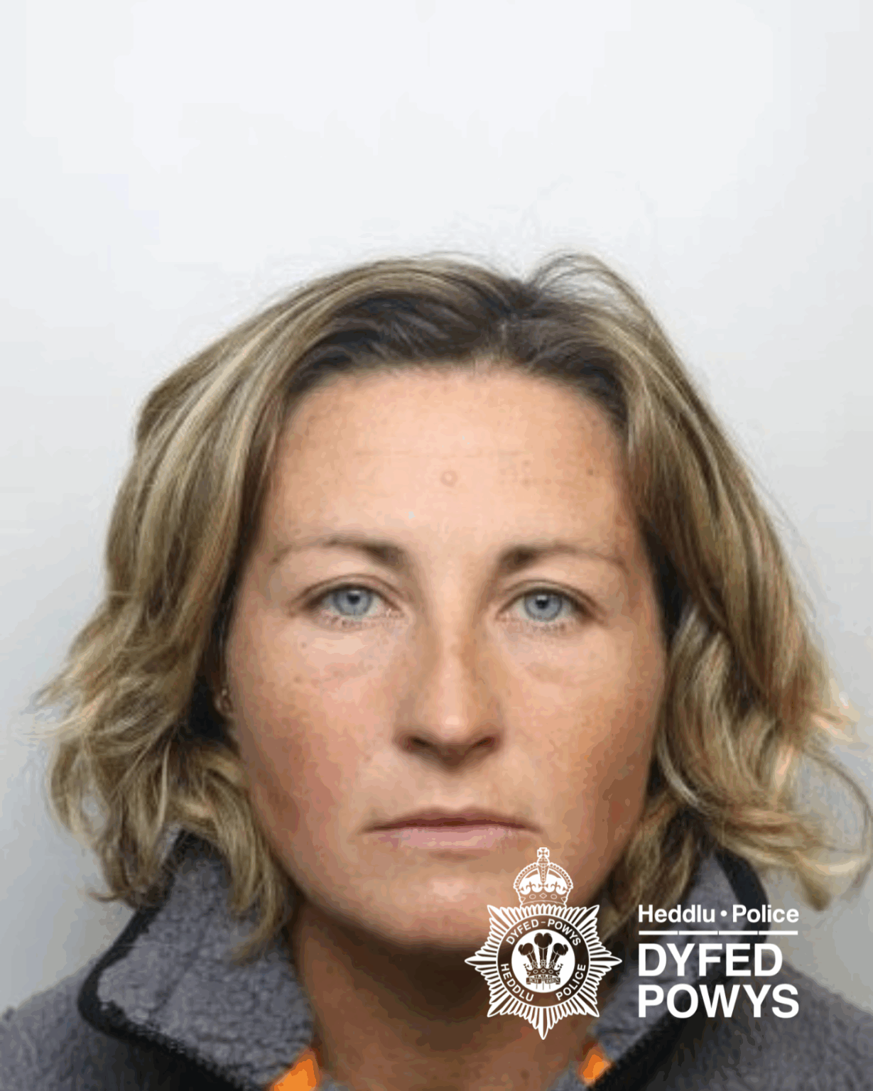 2025 – HSE Media Centre