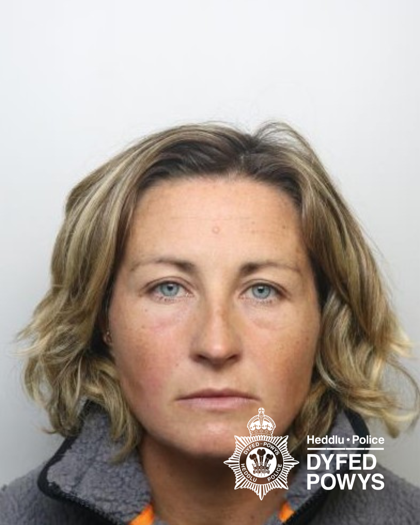 2025 – HSE Media Centre