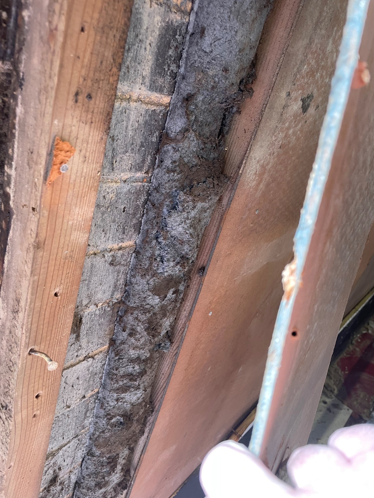 Film studio fined £6,000 after disturbance of asbestos during ...