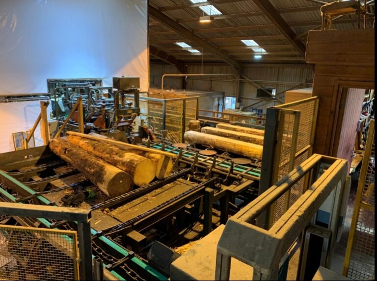 2025 – HSE Media Centre